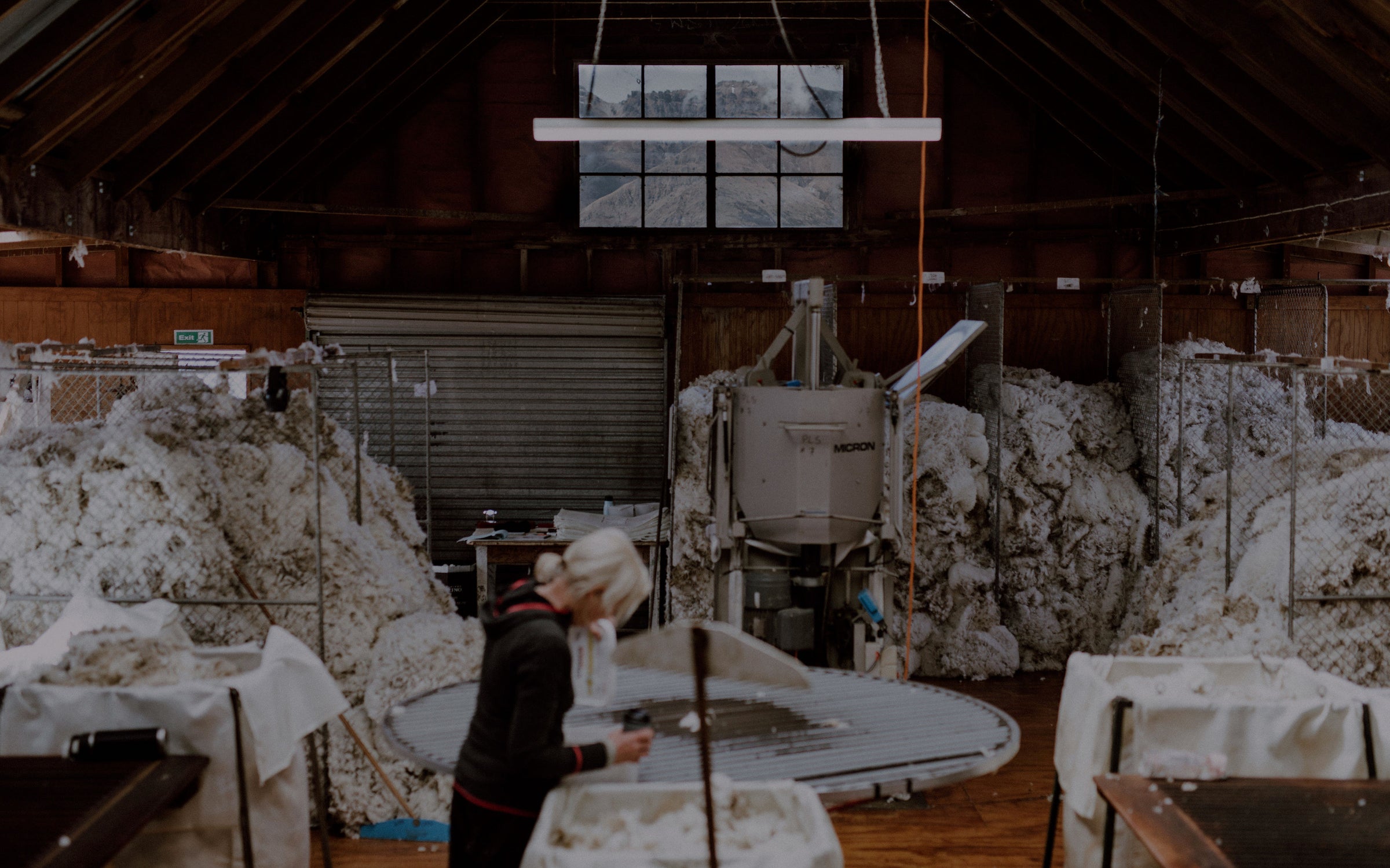 Our Merino - Mount Nicholas Merino